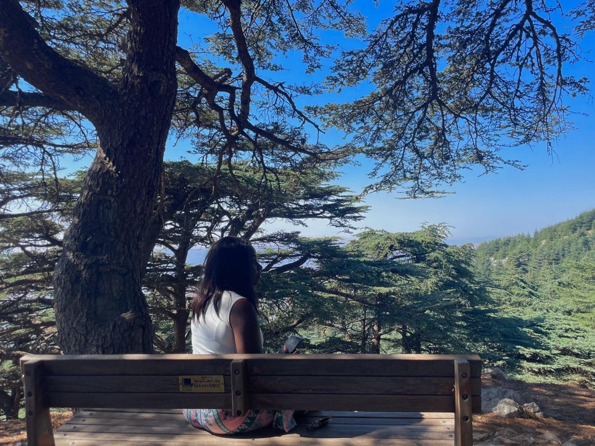Cedars of Chouf - Beiteddine - Deir el Qamar -The Princess route Tour ...